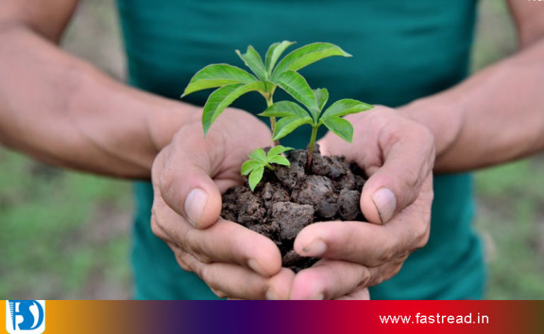 Short & Long Essay on Importance of Tree Plantation in English ...