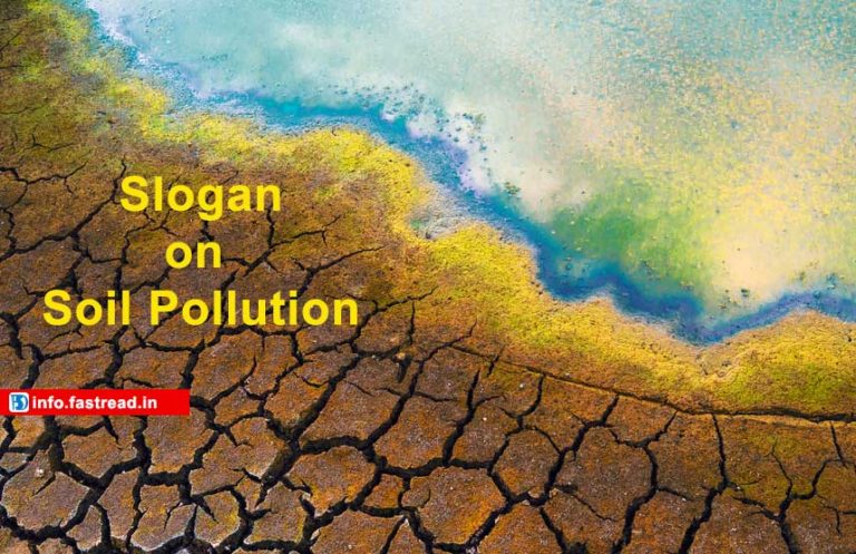 Slogans on Soil Pollution in English - Most Catchy Slogans - FastRead Info